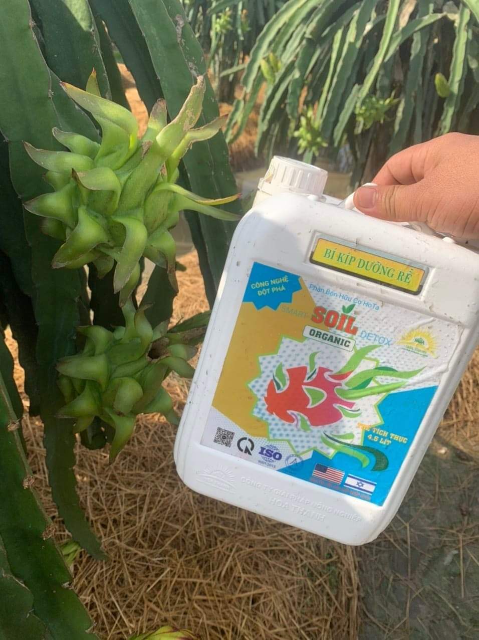 Phân bón SMART SOIL DETOX - Chuyên Thanh Long - CÔNG TY TNHH GIẢI PHÁP ...